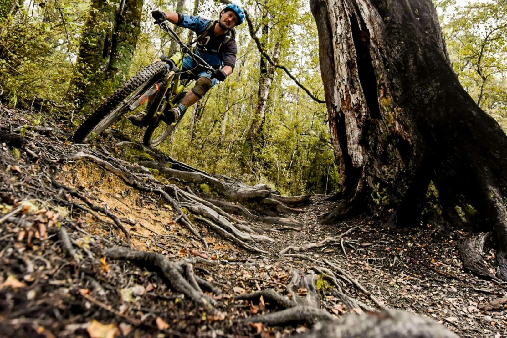 Nelson Mountain Biking Trail Map - New Zealand Mountain Biking